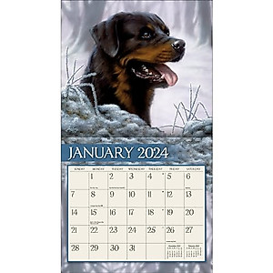 LANG Love Of Dogs 2024 Wall Calendar (24991001927)