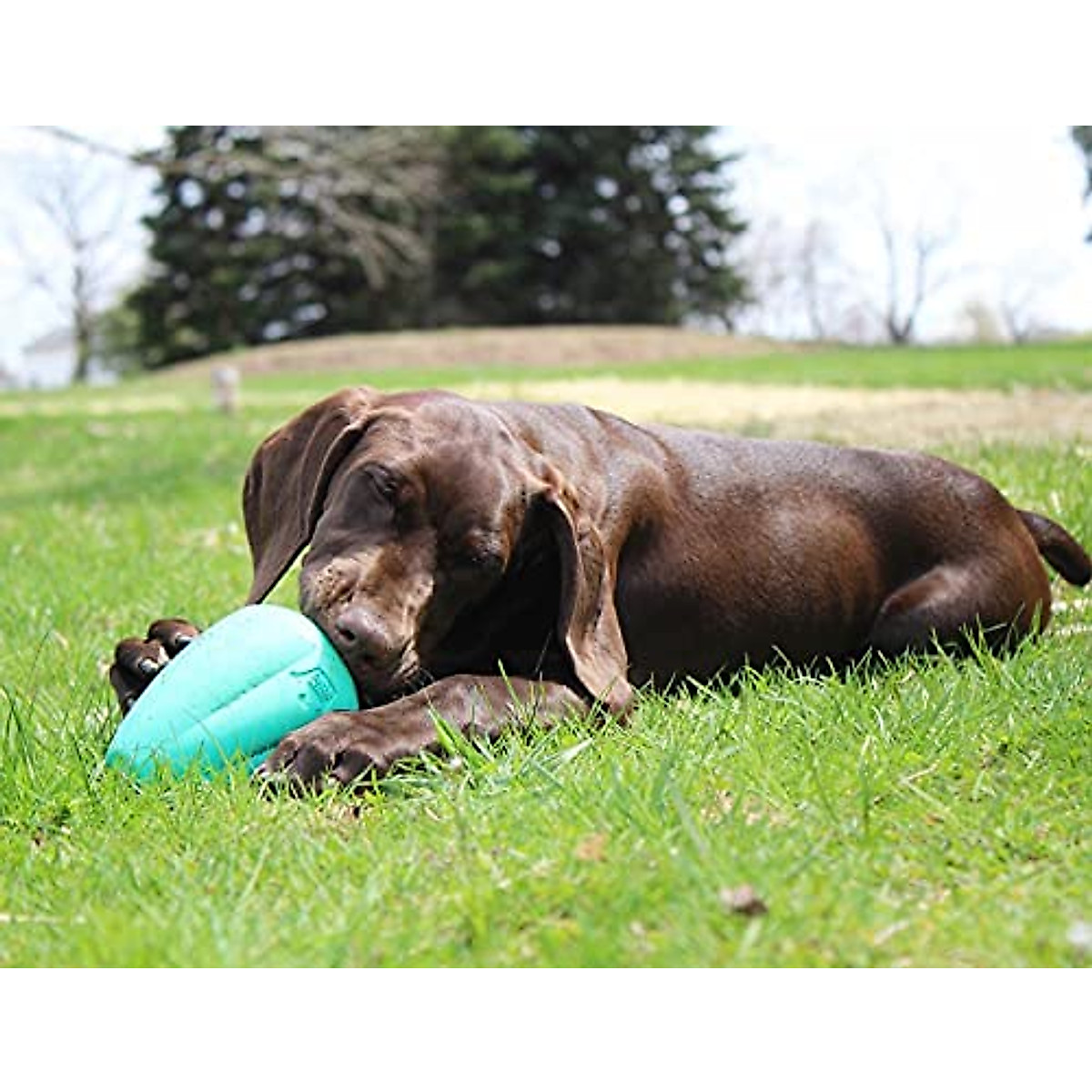 Chew King Premium Treat Dog Toy, XL, Extremely Durable Natural Rubber Toy, Pack of 2, All Breed Sizes