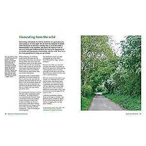 The Big Book of Backyard Medicine: The Ultimate Guide to Home-Grown Herbal Remedies