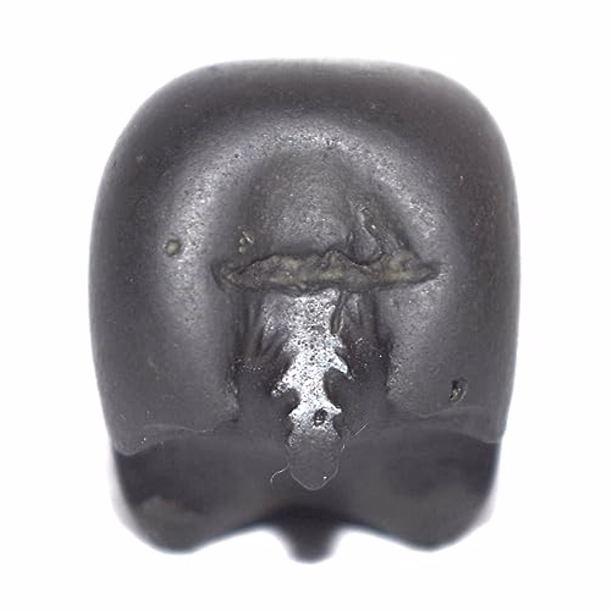 Rudrakshguru Hayagriva Shaligram - Gandaki River Nepal