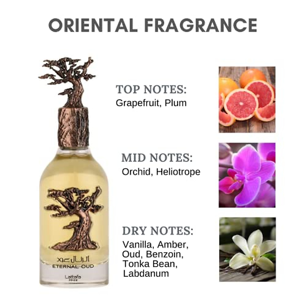 Lattafa Perfumes Eternal Oud Tester EDP Unisex 20ml, 0.70 Fl Oz (Pack of 1), 20.0 milliliters