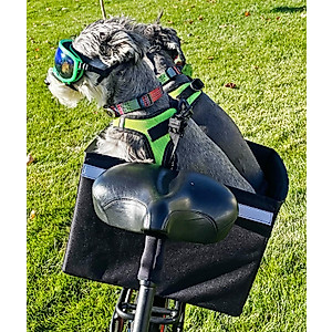 Bushwhacker Portland - Bike Rack Dog, Grocery and Goods Carrier - Bicycle Pannier Crate Cycling Basket Trunk Bag Rear Bed Storage Leash Carry Cargo Pet Commuter Behind Seat Accessories Items Ebike