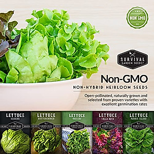 Survival Garden Seeds 5 Lettuce Collection Seed Vault - Buttercrunch, Oakleaf, Lolla Rosa, Parris Island, Iceberg - Non-GMO Heirloom Seeds for Year Round Growing in Your Vegetable Garden