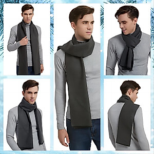 EINSKEY Men's Winter Scarf, 2-Pack Warm Cashmere Feel Striped Color Check Tartan Plaid Tassel Soft Long Fashion Neck Scarves