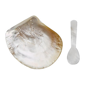 ZUDKSUY Caviar Plate 2 Pcs Natural Shell Plate Set : Mother of Pearl Caviar Plate and Caviar Spoon Set for Caviar Jewelry Appetizers Desserts Decorations