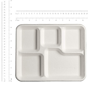 Comfy Package, 100% Compostable 5 Compartment Plates Eco-Friendly Disposable Sugarcane 10 inch Paper Trays