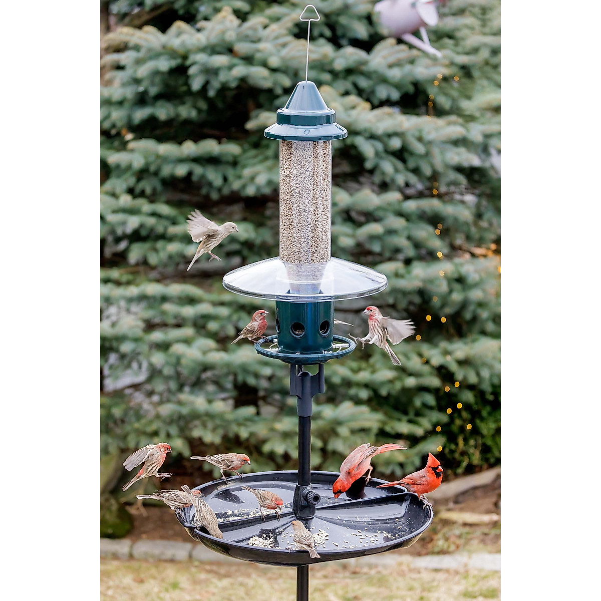 Squirrel Buster Plus Squirrel-proof Bird Feeder w/Cardinal Ring and 6 Feeding Ports, 5.1-pound Seed Capacity, Adjustable, Pole-mountable (POLE ADAPTOR SOLD SEPARATELY), Green
