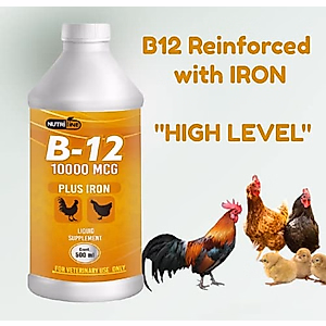 NUTRILINE B-12 for Poultry - Multivitamin Booster for Rooster, Hens, Chicken, Vitamin Recovery Liquid 16 onzas