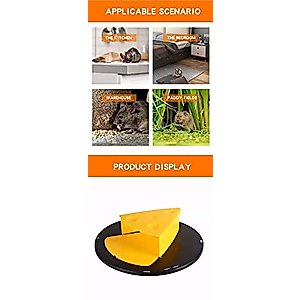 General Beacon - 5 Gallon Bucket Mouse Trap, Bucket Lid Mouse Trap 5 Gallon, Bucket Rat Trap, Smart Mouse Trap, Flip and Slide Mouse Trap, Automatic Mouse Trap