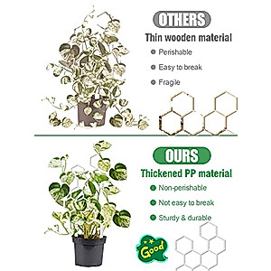 3 Pack Plastic Small Plant Trellis for Climbing Potted Plants- 15.7" × 7.9" Sturdy Honeycomb Shaped Plant Trellis Indoor Non-perishable Houseplant Trellis Starter for Outdoor Garden Flower Support