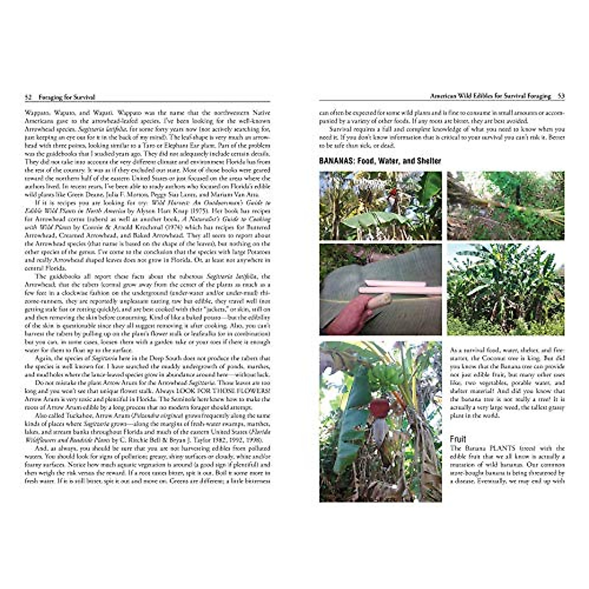 Foraging for Survival: Edible Wild Plants of North America