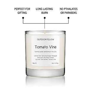 Outdoor Fellow Tomato Vine Luxury Scented Candle, 40+ Hour Burn Time, Coconut & Apricot Wax Blend, Best Smelling Luxury Tomato Candle for Home, (8oz)