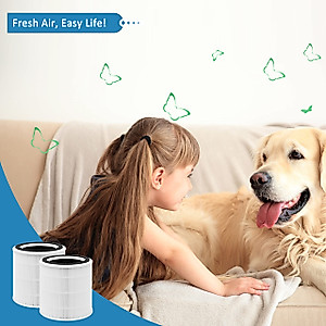 AP005 Replacement Filter, Compatible with Tao Tronics TT-AP005 Air Purifier, 3-in-1 Pre-Filter, H13 Grade True HEPA and Activated Carbon Filter Set