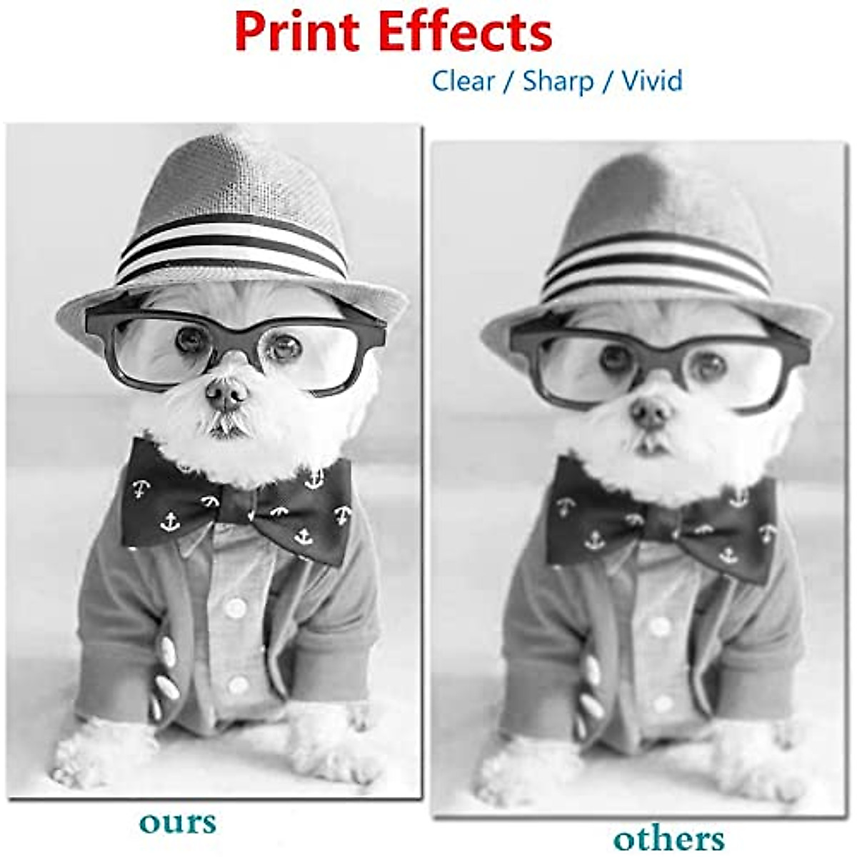 GRATLOV 2-Pack Black Compatible Drum Unit Replacement for Brother DR223CL DR223 DR-223 use with MFC-L3770CDW MFC-L3750CDW HL-L3230CDW HL-L3290CDW HL-L3210CW MFC-L3710CW Printer