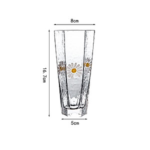 Caalio Drinking Glass Highball Glass Cups Daisy Flower, Hexagonal Cup Diamond Shaped Cocktail, Beer, Water, Wine, Juice, Tea, 11oz