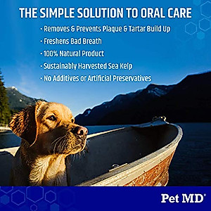 Pet MD Proden PlaqueOff Dog Teeth Cleaning Dental Care Powder - Oral Care Supplement for Dogs - Reduce Bad Breath, Tartar, & Plaque - 60g