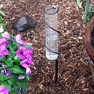 La Crosse 704-08967-INT Original Handcrafted Colombian Metal Finish Spiral Rain Gauge with 5-inch Capacity Glass Rain Garden Tube