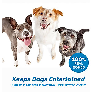 123 Treats - Meaty Dog Bone Treat - Large 100% Natural Pork Chews for Dogs Dog Bones for Aggressive Chewers (Pork, 2 Count)