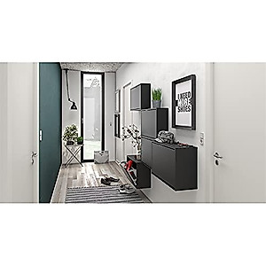 Pemberly Row Modern 2 Drawer Shoe Cabinet, 6-Pair Shoe Rack Storage Organizer in Black Matte