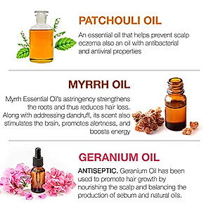 MAXIMILIAN All Natural Shampoo Deep Cleansing Natural Shampoo and Conditioner Set, 10 Hair Oils & Provitamin B5, Vegan Shampoo and Conditioner Shampoo Natural Scented, 2 x 16.9 Fl Oz