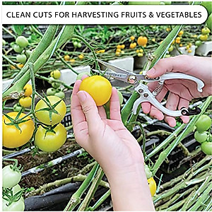 LOOPSEED Plant Pruning Shears Garden Trimming Scissors Precision Hand Pruner Herb Snips Flower Clippers Bonsai Trimmers Straight Sharp Blade Tapered Tip Ergonomic Handle Modern Garden Tools