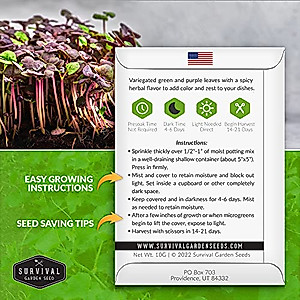 Survival Garden Seeds Opal Basil Microgreens for Sprouting and Growing - Seed to Sprout Green Leafy Micro Vegetable Plants Indoors - Grow Your Own Mini Windowsill Garden - Non-GMO Heirloom Variety