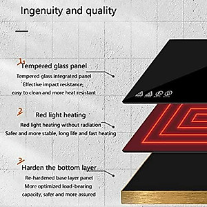 Electric Food Warmer Plate, Electric Warming Tray Food Warmer with Adjustable Temperature Control Warming Serving Tray Food Hot Plates Warmer Hot Plate Keep Food Warm for Buffets Home Dinners