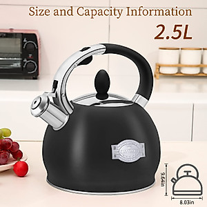 RETTBERG Tea Kettle for Stovetop Whistling Tea Kettles Retro Black Stainless Steel Teapots, 2.64 Quart (Black 1)