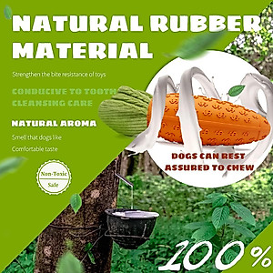 Cooway Dog Chew Toy, Carrot Dog Squeaky Toys for Aggressive Chewers, Natural Rubber Dog Teeth-Cleaning Toy for Puppy Small Medium Large Dogs,Interactive Tough Dog Toy for Training