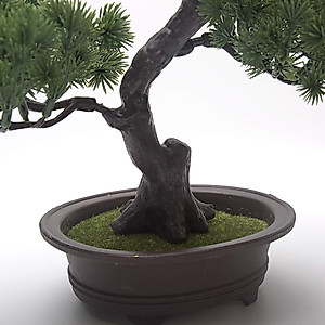 CHENGAI Artificial Plants Bonsai Potted Plants, Mini Simulation Pine Tree Potted Plant for Home Decoration Desktop Display Garden Decor