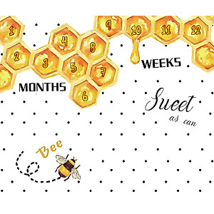 EARVO Honeycomb Bee Baby Monthly Milestone Blanket Boy or Girl Honeycomb Bee Baby Month Blanket Hippie Honey Backgrounds Milestone Blanket for Newborn to 12 Months Milestones 47”x40”BTXYEA23