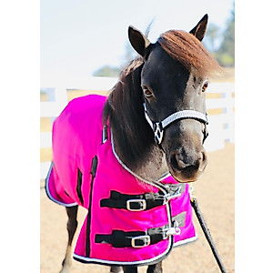 Star Point Horsemanship Mini-Pony Horse Ripstop Waterproof Windproof Blanket Hooded Lightweight Turnout Rain Sheet Breathable Lining 1200 Denier Material 100 Gram Fill (Raspberry, 52-54")