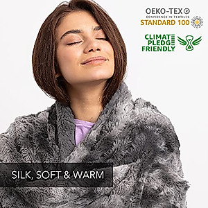 Luxury Plush Blanket - Cozy, Soft, Fuzzy Faux Fur Throw Blanket for Couch - Ideal Comfy Minky Blanket for Adults for Cold Nights by Everlasting Comfort