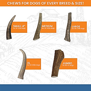 K9warehouse Split Antler for Dogs - Natural Dog Antlers for Aggressive Chewers - USA Sourced Elk Antlers for Dogs Small, Medium, Large - Healthy Elk Antlers for Teeth Cleaning & Chewing Pleasure