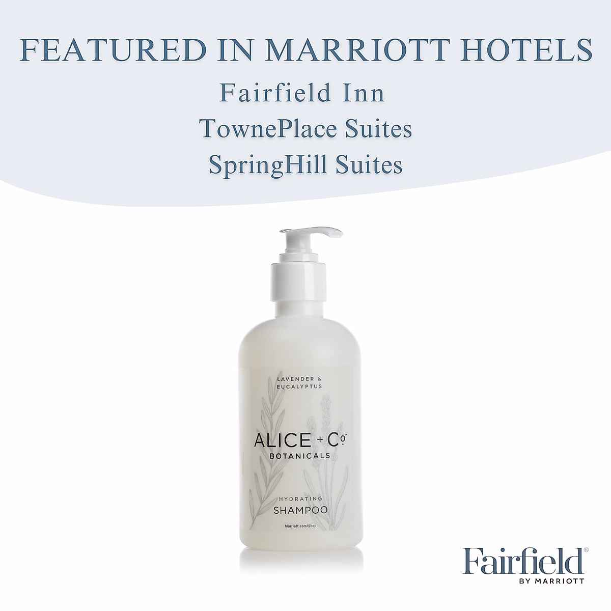 Alice + Co. Shampoo - Fairfield by Marriott - TownePlace - SpringHill - Hotel Bath Amenities - Lavender & Eucalyptus - 8.5oz Shampoo