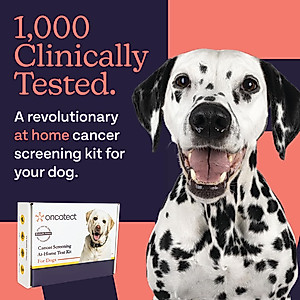 Oncotect Essential Dog Cancer Screening Test Kit, Easy to Use at Home Cancer Detection, Affordable Non-Invasive Urine-Based Test, Works On All Dog Breeds and Ages