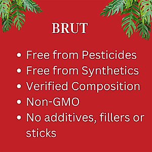 Brut Organic Potting Soil – 1 CF – Everything Your Plants Need in one Bag. Indoor and Outdoor Container Plants. 2 Pack