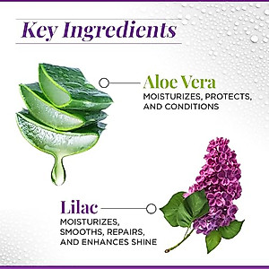 CHI VolumeCare Volumizing Conditioner, Increases Volume on Thin, Fine, or Flat Hair, Moisturizing Formula, Sulfate, Paraben, & Cruelty-Free, 12 Oz