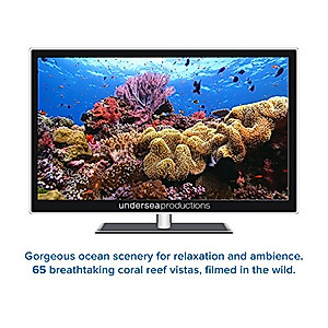 Reefscapes: Nature's Aquarium DVD, nature video of tropical fish and coral reefs filmed in the ocean, for relaxation and ambience