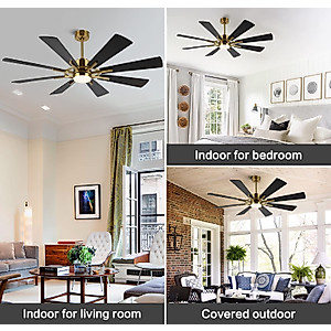 WINGBO 60" DC Ceiling Fan with Lights and Remote Control, Gold and Black Ceiling Fan, 8 Plywood Blades, 6-Speed Reversible DC Motor, Modern Ceiling Fan Indoor for Kitchen Bedroom Living Room