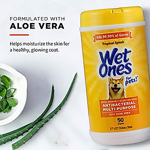 Wet Ones for Pets Multi-Purpose Dog Wipes with Aloe Vera | Dog Wipes for All Dogs in Tropical Splash, Wipes for Paws & All Purpose | 50 Ct Cannister Dog Wipes