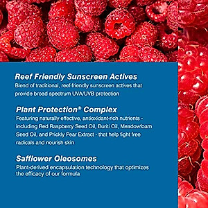 COOLA Organic Face Sunscreen SPF 50 Sunblock Lotion, Dermatologist Tested Skin Care for Daily Protection, Vegan and Gluten Free, White Tea, 1.7 Fl Oz