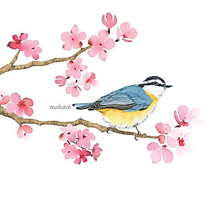 DECOWALL DWL-1904 Cherry Blossom Garden Birds Kids Wall Stickers Wall Decals Peel and Stick Removable Wall Stickers for Kids Nursery Bedroom Living Room d?cor