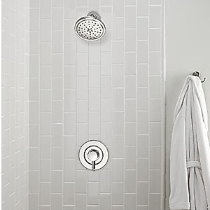Moen Annex Chrome Shower Slidebar and Shower Hose System Trim, Valve Required, TS3661NH