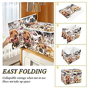 Kigai 3d Print Dogs & Cats Storage Baskets for Shelves Foldable Closet Basket Storage Bins with Lid for Clothes Home Office Toys Organizers