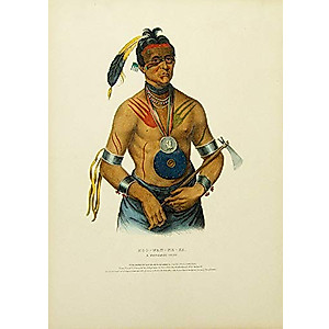 Hoo-Wan-Ne-Ka, a Winnebago Chief