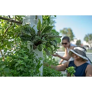 Aerospring Standard Outdoor Vertical Hydroponic Growing System Kit, Grow 27 Large Lettuce, Vegetables, Herbs, Fruit | 20 Gallon Water Tank, 20' Pump Cable, Smart WiFi Timer | Easy Assembly & Use