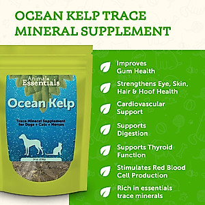 Animal Essentials Ocean Kelp for Dogs & Cats - Thyroid Support, Thyroid Supplement, Sea Kelp, Kelp Powder, Trace Mineral Supplement - 24 Oz