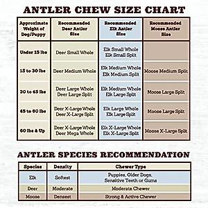 Prairie Dog Pet Products Deer Large Antler Treat, 8-9"