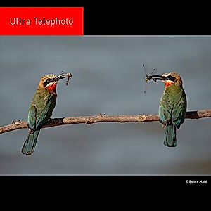 PANASONIC LUMIX G LEICA DG VARIO-ELMAR PROFESSIONAL LENS, 100-400MM, F4.0-6.3 ASPH., MIRRORLESS MICRO FOUR THIRDS, POWER OPTICAL I.S., H-RS100400 (USA BLACK)